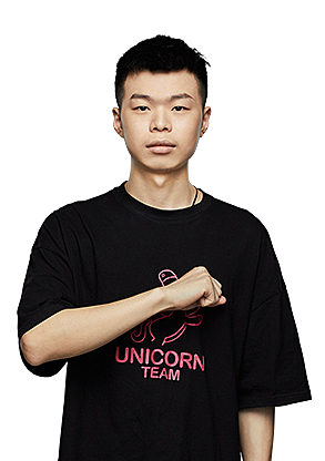 Jesson PUBG, player biography, matches, statistics