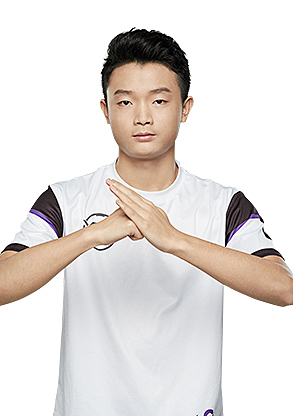 Tong PUBG, player biography, matches, statistics