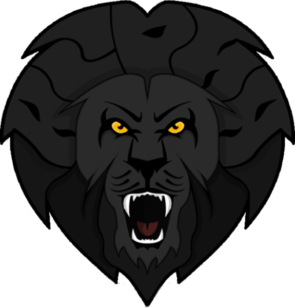 Team Alpha (Alpha Gaming) CS:GO, roster, matches, statistics