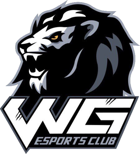 Team WG CS:GO, roster, matches, statistics