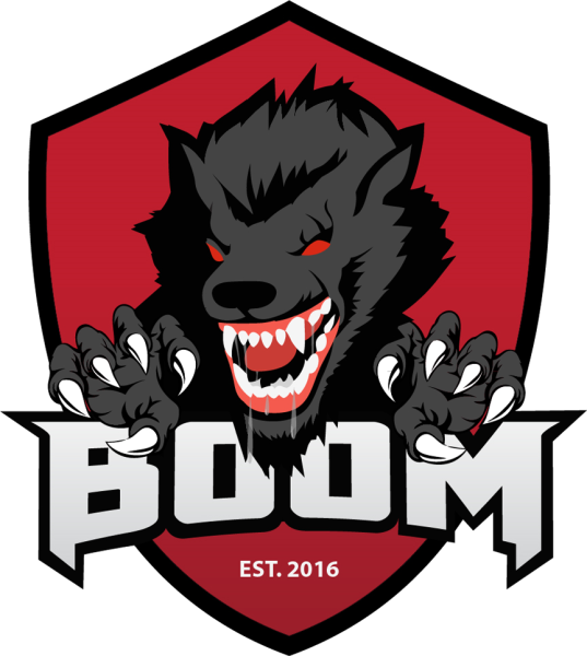 Team BOOM CS:GO, roster, matches, statistics
