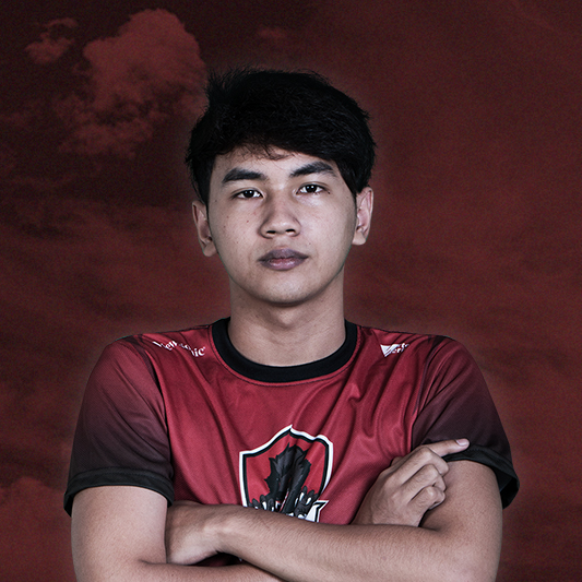Muhammad «inYourdreaM» Rizky Dota 2, player biography, matches, statistics