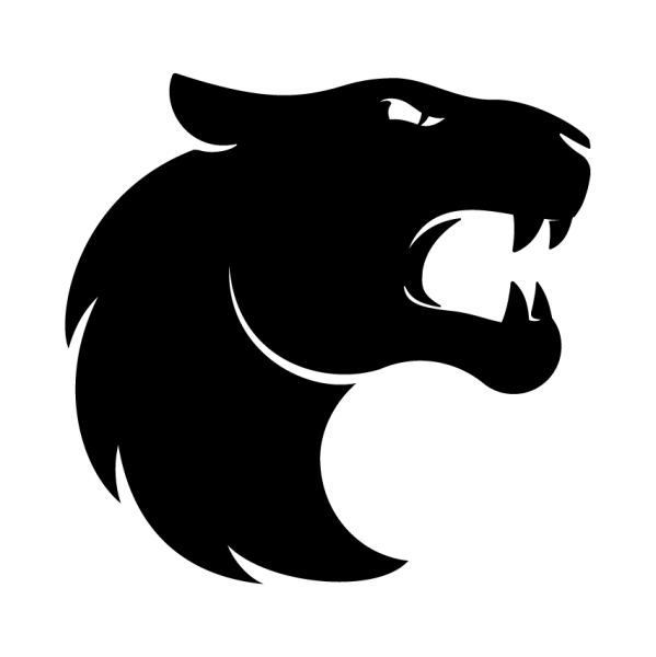 Команда FURIA CS:GO, состав, награды, матчи, статистика