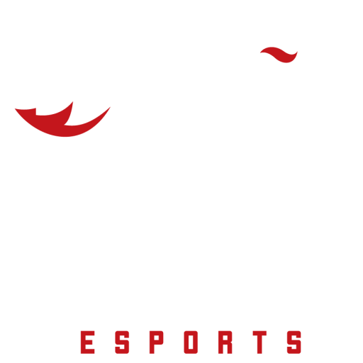 Team Zenith (Zenith Esports) PUBG, roster, matches, statistics