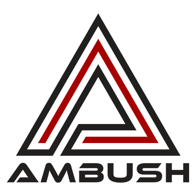 Team Ambush CS:GO, roster, matches, statistics