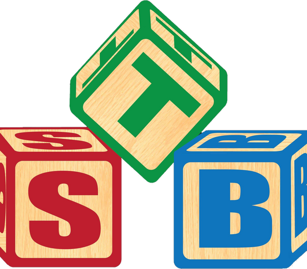 Team STB (Spin The Block) CS:GO, roster, matches, statistics