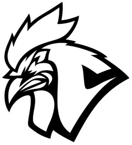 Team CCE (Chicken Coop Esports) CS:GO, roster, matches, statistics