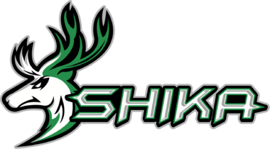 战队 Shika Counter Strike, 成员,奖项,比赛,数据统计