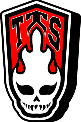 Team TTS (The Tin Soldier) PUBG, roster, matches, statistics