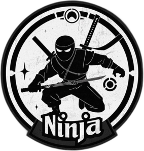 Team NinJa CS:GO, roster, matches, statistics