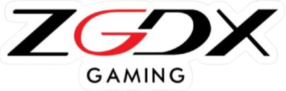 Team ZGDX (ZGDX Gaming) LoL, roster, matches, statistics