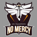 Team No Mercy Overwatch, roster, matches, statistics