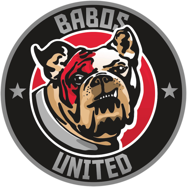 Team Babos United Dota 2, roster, matches, statistics