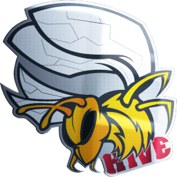 Team Hive Dota 2, roster, matches, statistics