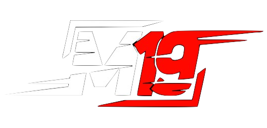 Team M19 Dota 2, roster, matches, statistics