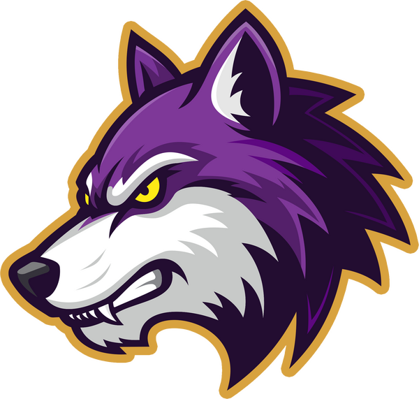 战队 CC (Team CC) Overwatch, 成员,奖项,比赛,数据统计