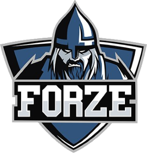Team forZe.FY CS:GO, roster, matches, statistics
