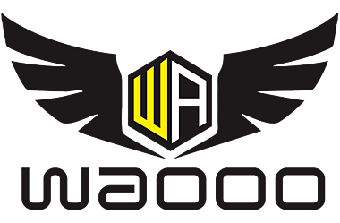 Team Waooo (Team Waooo) Dota 2, roster, matches, statistics