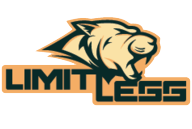 Команда Limitless CS:GO, состав, награды, матчи, статистика