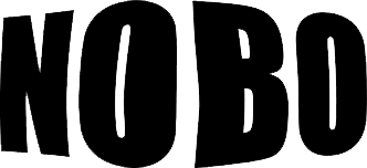 Team NOBO CS:GO, roster, matches, statistics