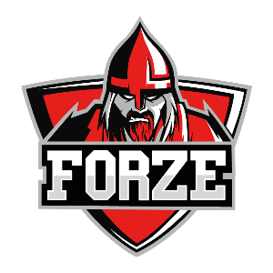 Team forZe PUBG, roster, matches, statistics
