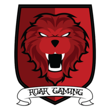 Team Roar (Roar Gaming) PUBG, roster, matches, statistics