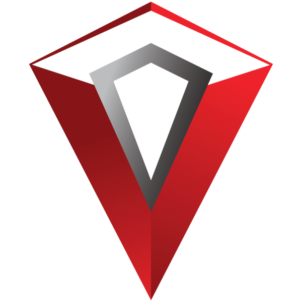 Team Vision CS:GO, roster, matches, statistics