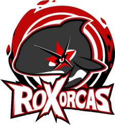 Team ROX (ROX Orcas) PUBG, roster, matches, statistics