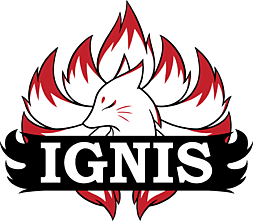 Team Ignis (BlackBird Ignis) CS:GO, roster, matches, statistics