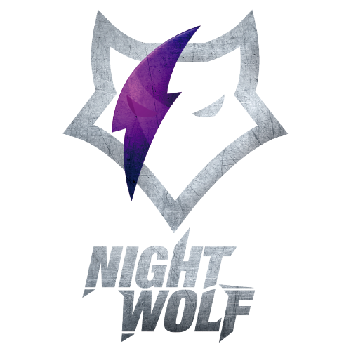 Team NW (Night.Wolf) PUBG, roster, matches, statistics