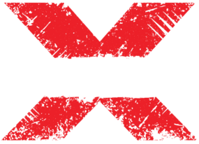 Team Team X Dota 2, roster, matches, statistics