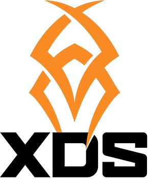 Team XDS Dota 2, roster, matches, statistics