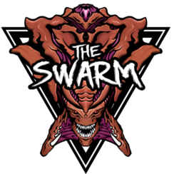 Team Swarm (The Swarm) PUBG, roster, matches, statistics