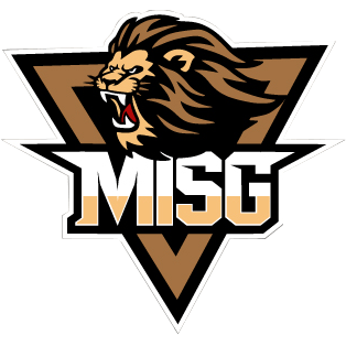 Team MiSG CS:GO, roster, matches, statistics