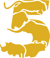 Team Big 5 (Big 5 Esports) CS:GO, roster, matches, statistics