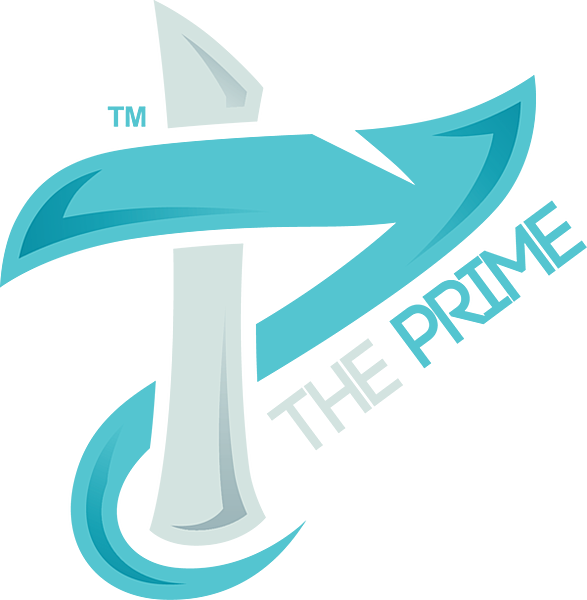 Team Prime (The Prime) PUBG, roster, matches, statistics