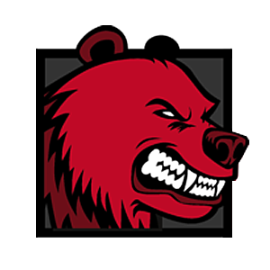 Team BBR (BalkanBearsRo) Dota 2, roster, matches, statistics