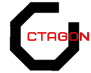 Team Octagon (Octagon Team) Dota 2, roster, matches, statistics