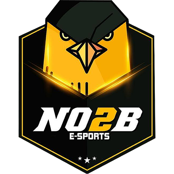Team No2B (No2B E-Sports) CS:GO, roster, matches, statistics