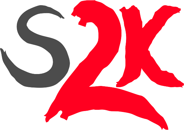 Team 2K CS:GO, roster, matches, statistics