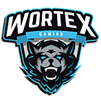 Team Wortex (Wortex Gaming) CS:GO, roster, matches, statistics