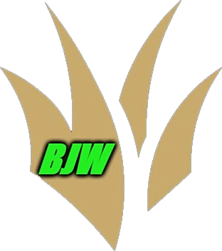 Team BJW (Better Jungler Wins) LoL, roster, matches, statistics