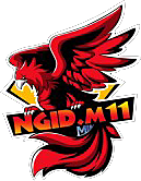 Team NGID.M11 Dota 2, roster, matches, statistics