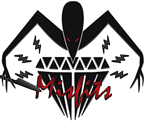 Team MSF (Team Misfits) PUBG, roster, matches, statistics