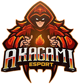 Team AKG (Akagami Mirror) PUBG, roster, matches, statistics