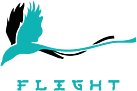Team Flight (Flight Esports) CS:GO, roster, matches, statistics
