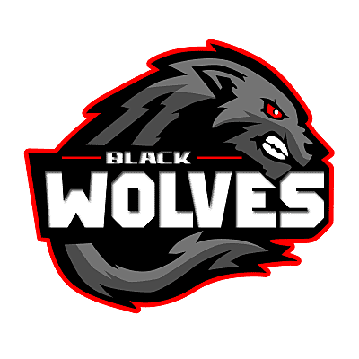 Команда BW (BLACK WOLVES) PUBG, состав, награды, матчи, статистика