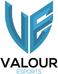 Team Valour (Valour eSports) CS:GO, roster, matches, statistics