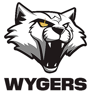 Команда WYG (Wygers Argentina) LoL, состав, награды, матчи, статистика