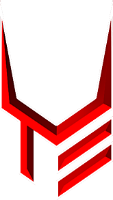 Team Evil (The Evil Esports) CS:GO, roster, matches, statistics